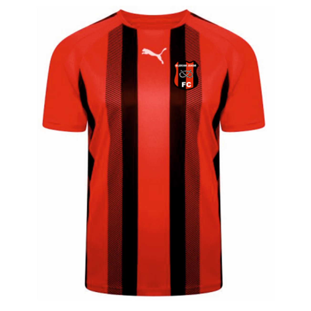 Bilbrook FC Home Shirt [Liga] – The Sports Shop & Custom Clothes
