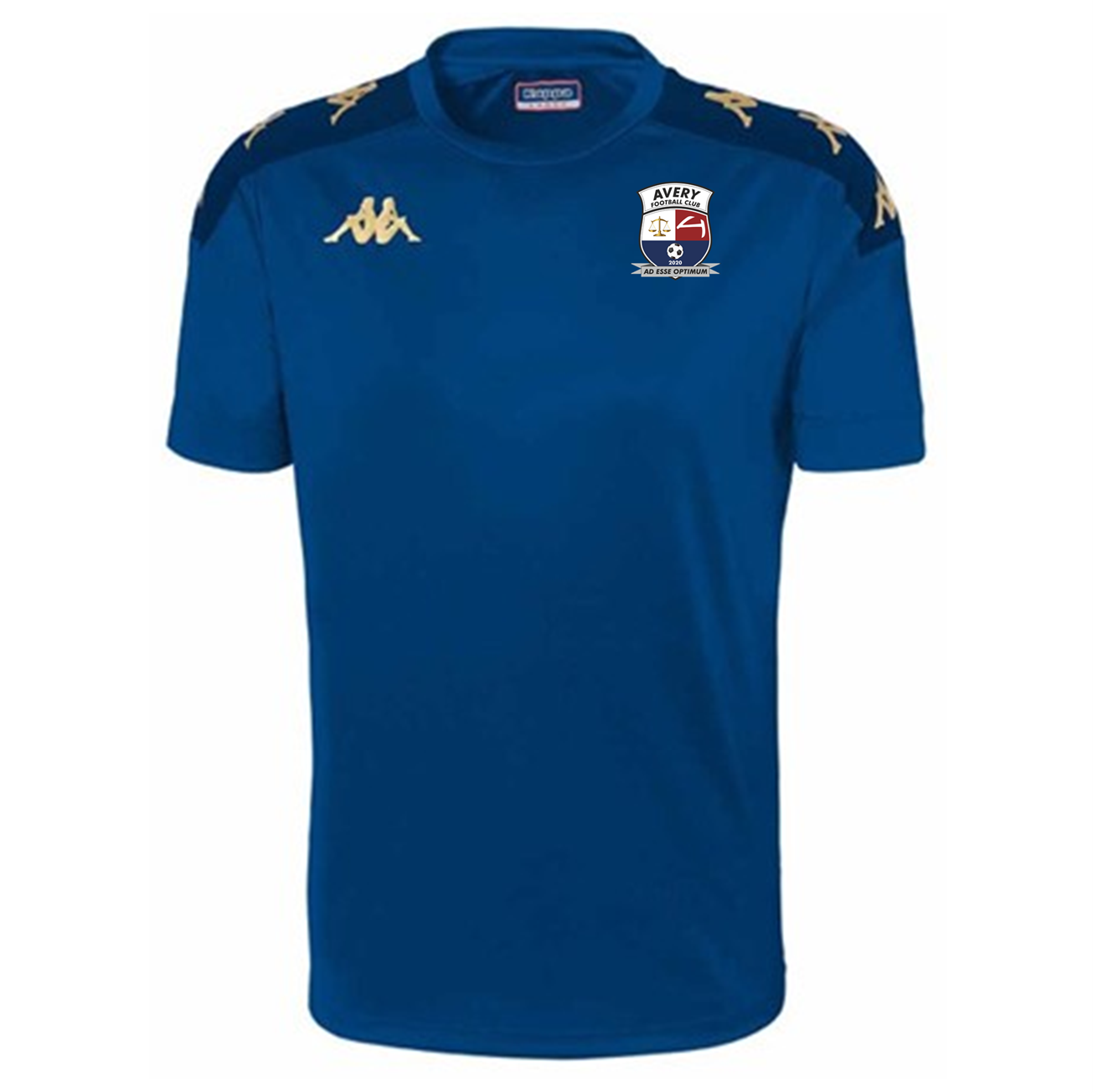 Avery FC - Managers T-Shirt - Blue [Gianto] – The Sports Shop & Custom ...
